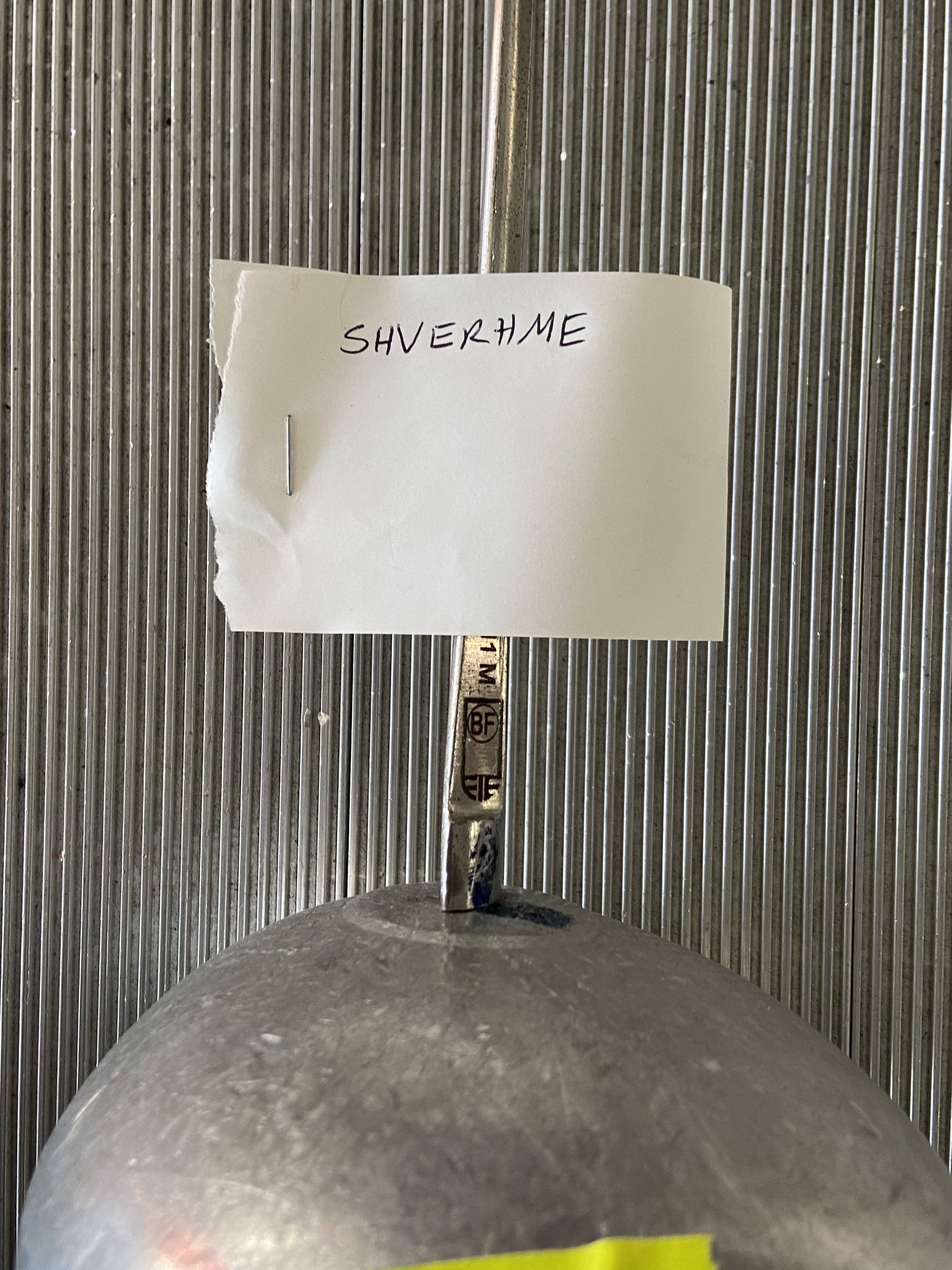 IMG_3039 – Sydney Sabre